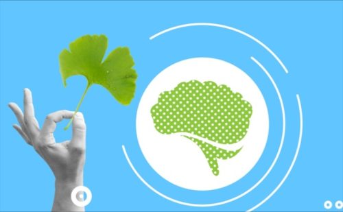 The Intersection of TCM and Neuroscience: Advanced Insights into Mind ...