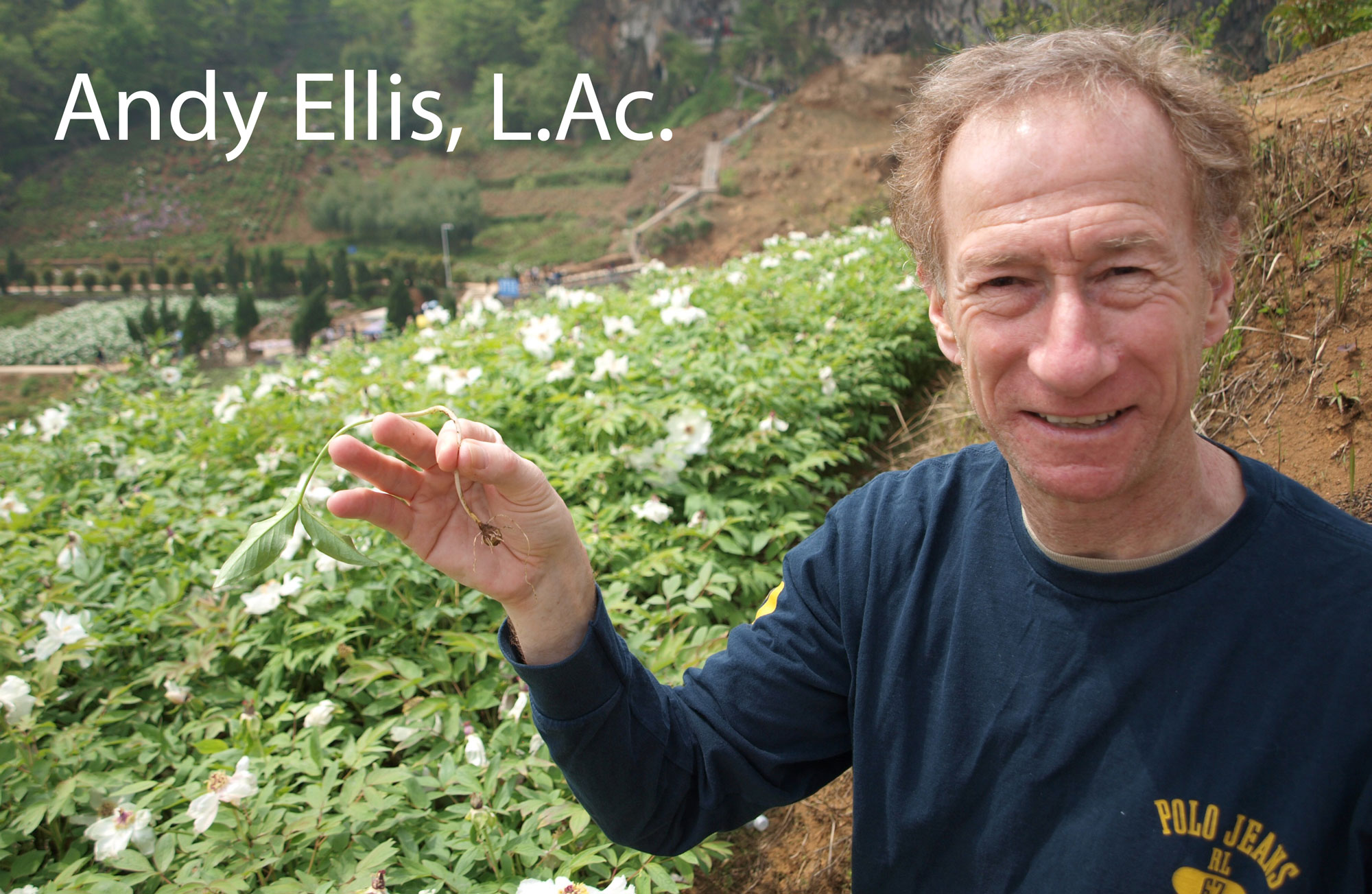 Fruits Picked from the Forest of Medicine, a Conversation with Andy Ellis, L.Ac. - TCMzone